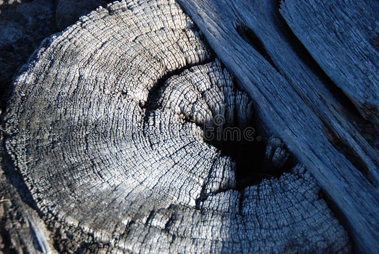 Weathered post stock image. Image of support, weathered - 43256179