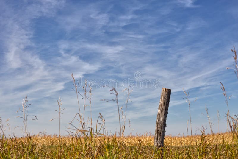 Old weathered corn crib stock photo. Image of country - 62069902