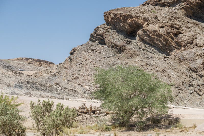 Weathered rocks in desert stock photo. Image of weathered - 188784894