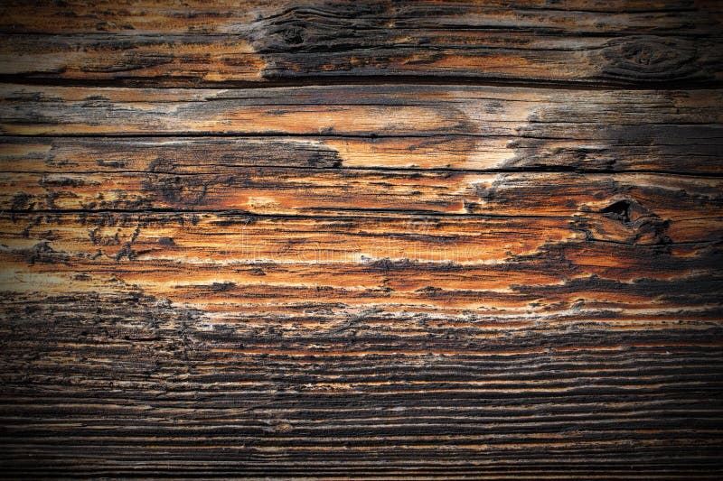 Weathered Spruce Plank Real Texture Stock Photo - Image of detail ...