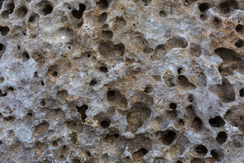 Porous Sandstone Surface. Ancient Rough Texture Of Natural Stone ...