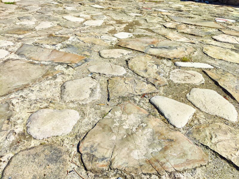 Sunlit Stone Pathway with Irregular Shapes in a Rustic Outdoor Setting ...