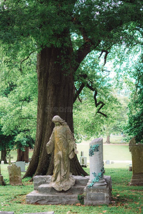 Weathered Stone Statue in the Center of a Cemetery, Surrounded by Tall ...
