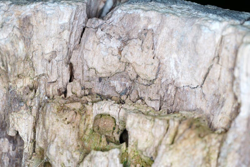 Weathered Stone Texture Background Stock Photo - Image of hard, closeup ...