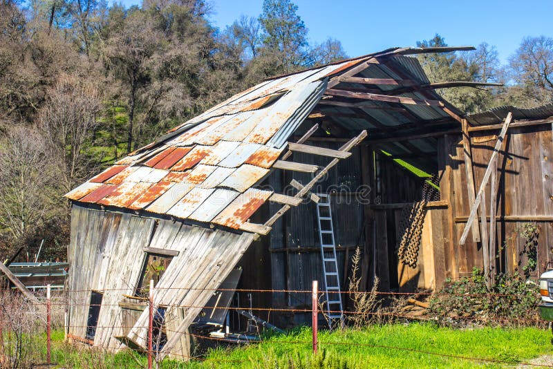 Old Shed in Run-down Condition Stock Image - Image of wooden, fern: 4837629