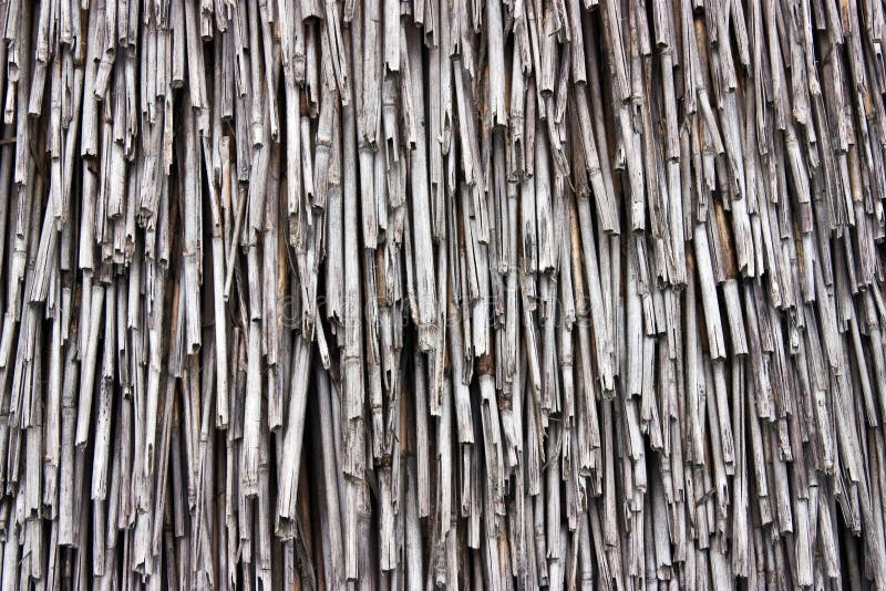 Texture of Straw Roof stock photo. Image of reed, real - 13675446
