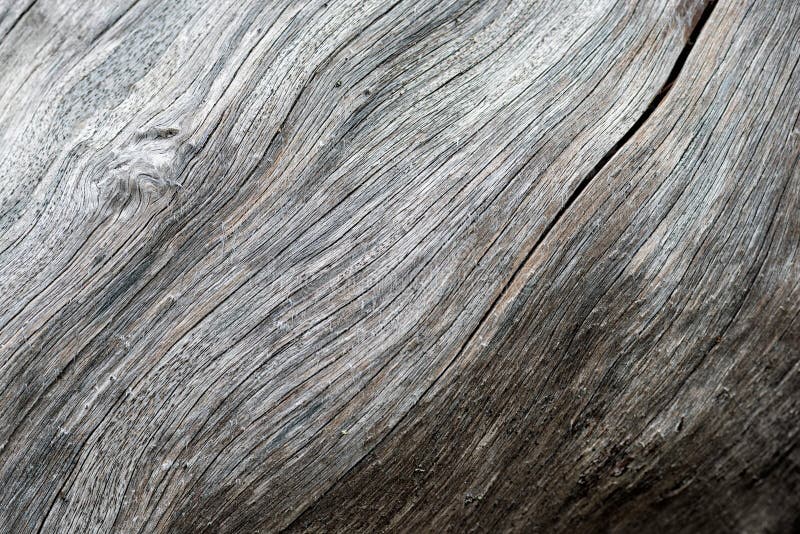 Weathered Wood Surface with Intricate Grain Patterns and Textures from ...