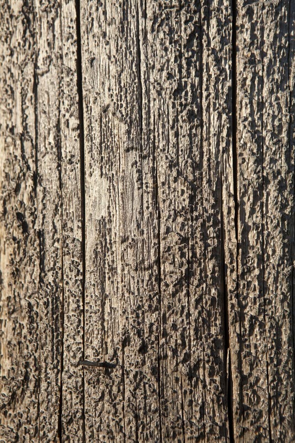 Weathered Telephone Pole stock photo. Image of wooden - 15229668
