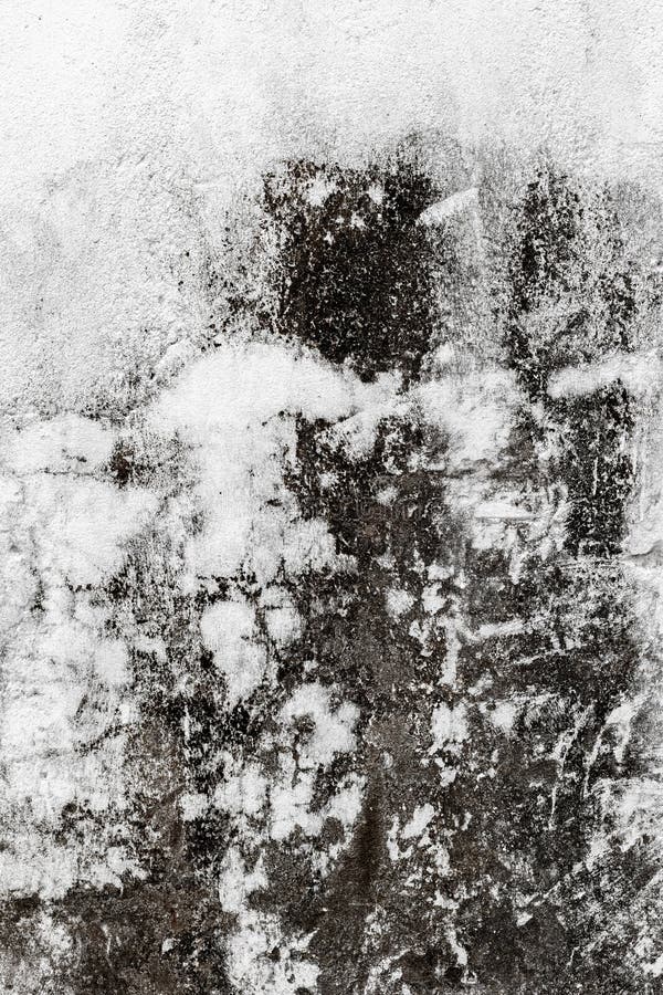 Weathered Textured Surface with White and Dark Patterns in Abstract ...