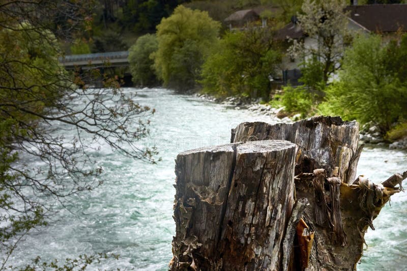 Weathered Tree Stump before the Turbulent Course of an Alpine River ...