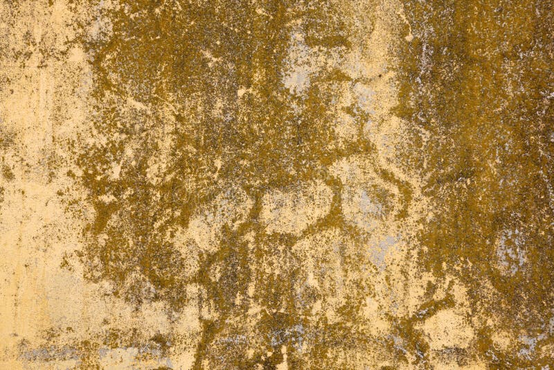 Weathered Wall Background stock image. Image of damage - 26406489