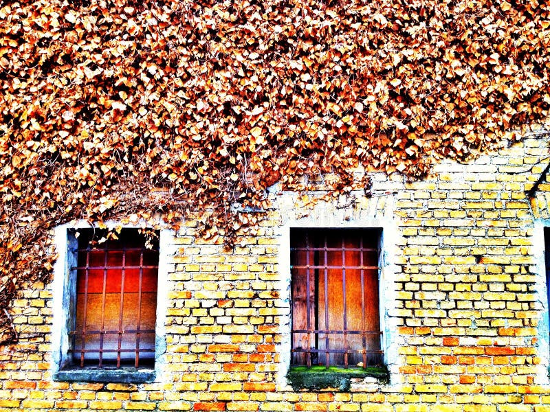 Weathered Wall and Old Barricaded Windows Stock Image - Image of ruin ...
