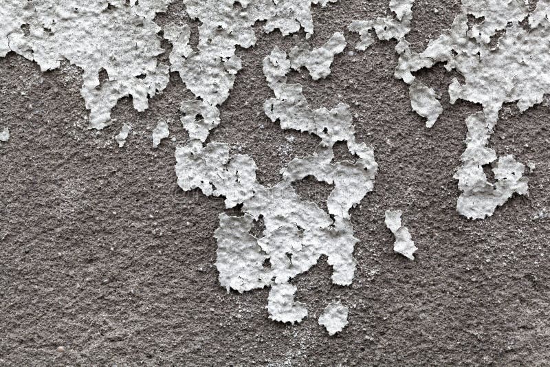 Weathered White Color on Grey Concrete Stock Photo - Image of view ...