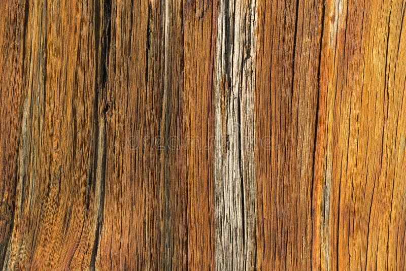 Weathered Wood stock image. Image of brown, carpentry - 48528185