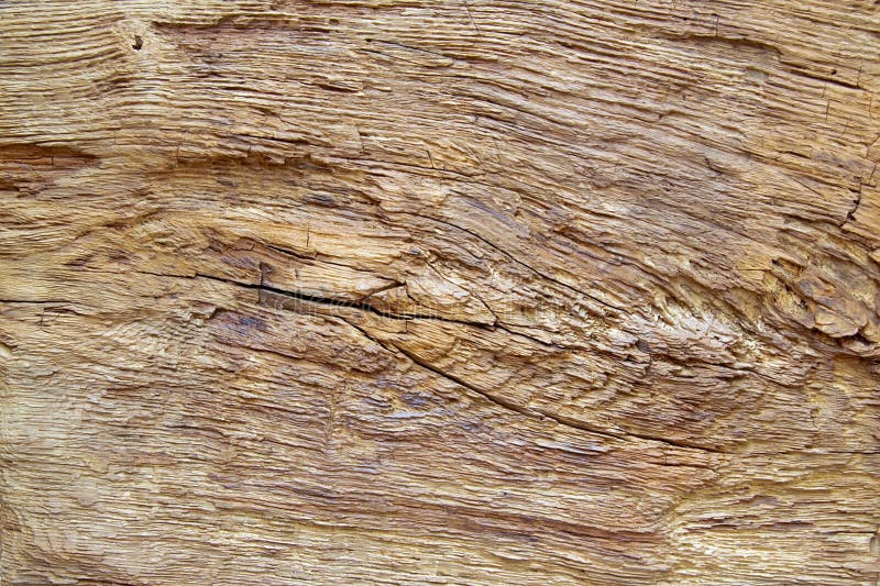 Weathered Wood Texture Aged Timber Surface Cracks Stock Image - Image ...