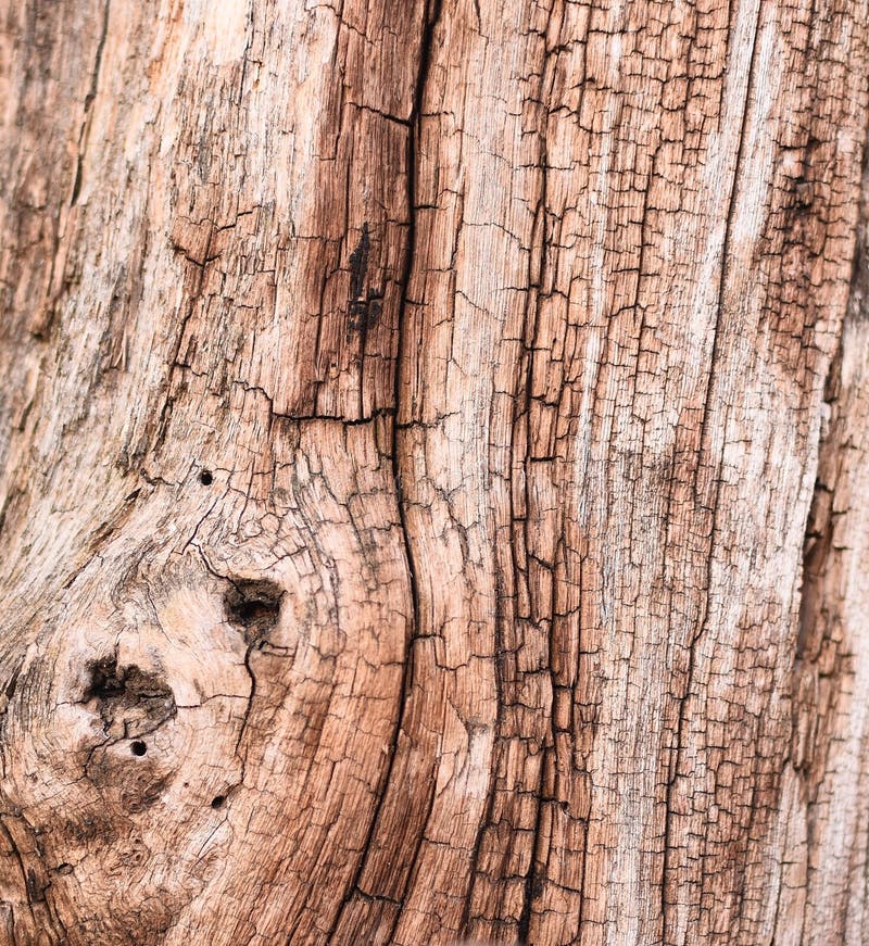 Weathered Wood Texture with a Natural Pattern. Stock Image - Image of ...