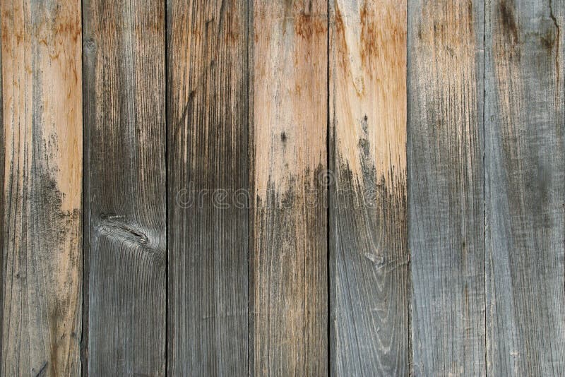 Weathered Wood Texture stock photo. Image of rustic - 148457026