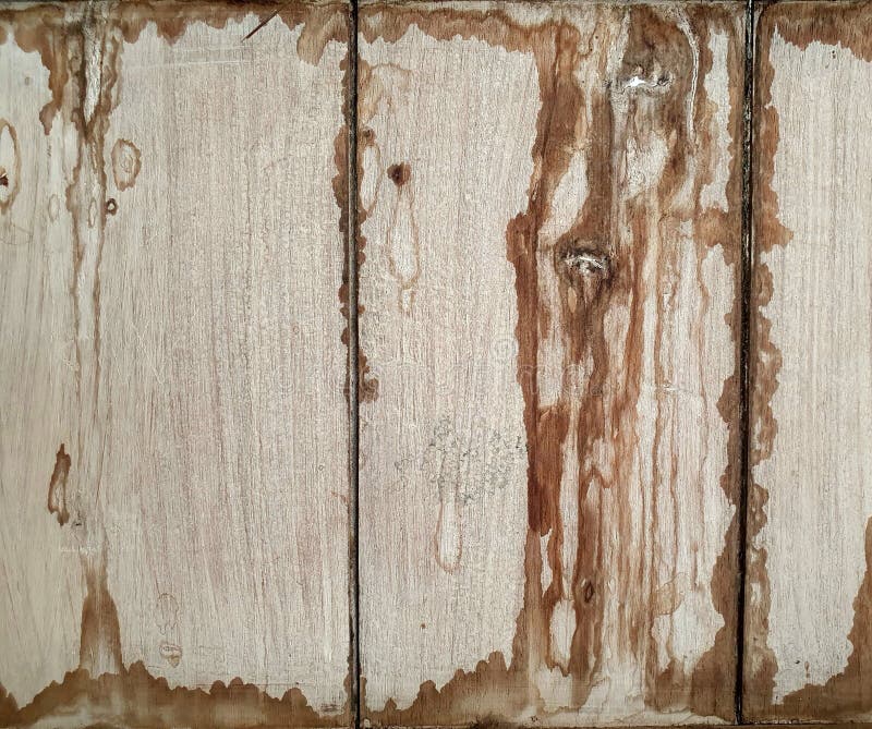 Weathered Wood Wall Texture with Old Tree Pattern Stock Photo - Image ...