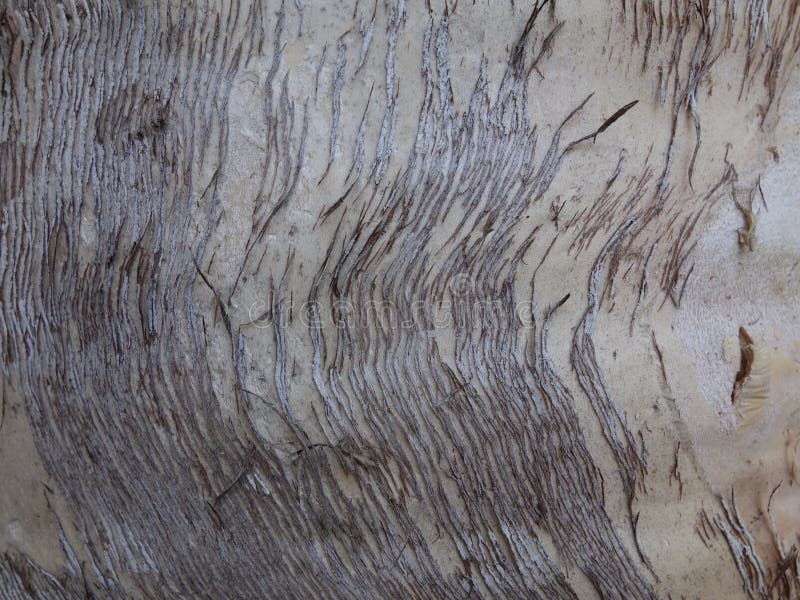 1,004 Wavy Block Background Stock Photos - Free & Royalty-Free Stock ...