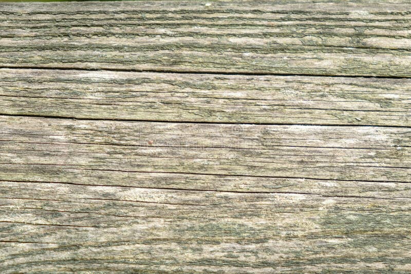 Weathered Wooden Board Texture, Rustic Natural Surface, Aged Timber ...