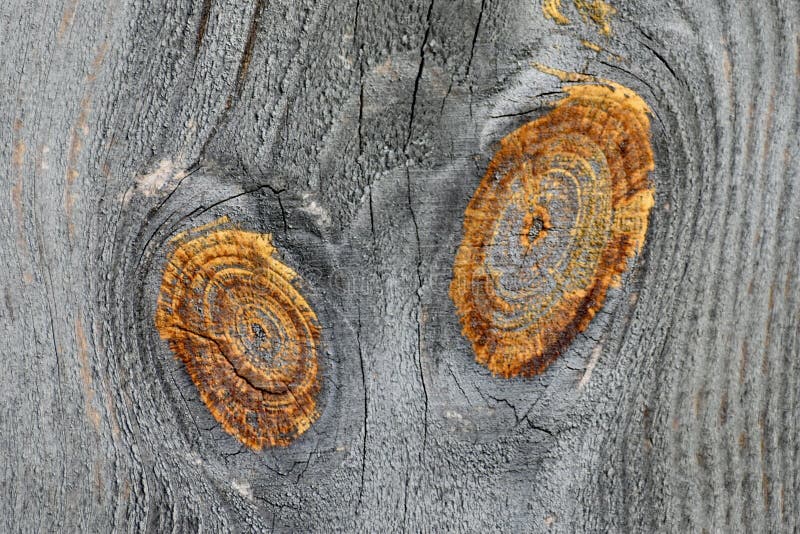 Wood stock image. Image of weathered, grey, wooden, woodgrain - 235652075