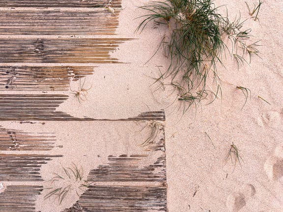Weathered Wooden Path and Beach Sand with Grass Stock Image - Image of ...