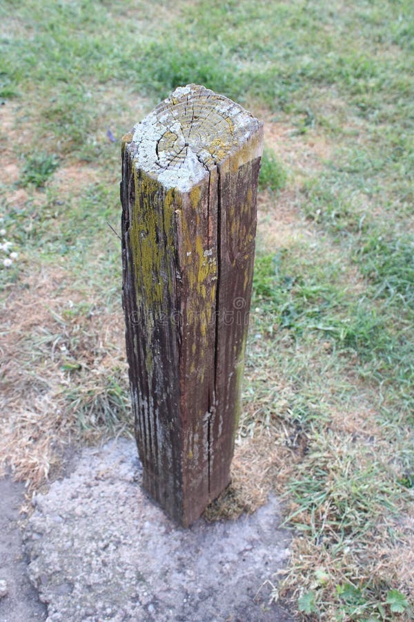 Weathered Wooden Post Set in Grassy Yard during Daytime Stock Photo ...