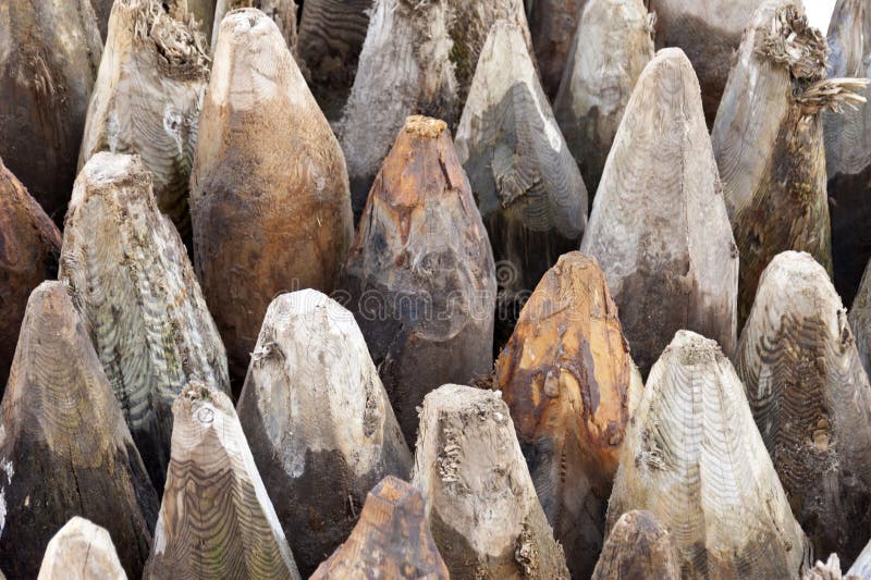 819 Weathered Wooden Posts Stock Photos - Free & Royalty-Free Stock ...