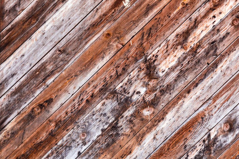 Slanted Wood Panel Stock Photos - Free & Royalty-Free Stock Photos from ...