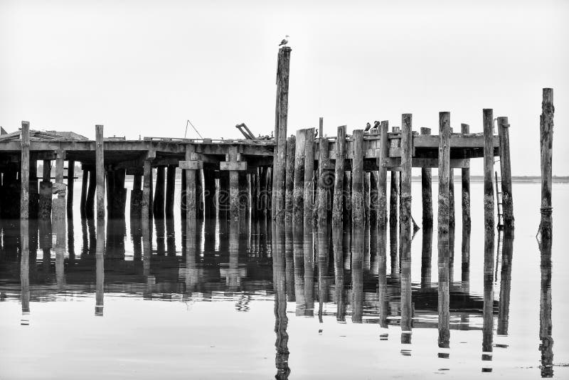 Weathered and Worn Pier at Bodega Bay Stock Photo - Image of worn, coast: 32307410