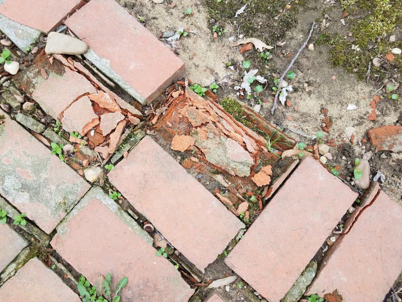 Weathered or Worn Red Bricks or Masonry on Ground Stock Photo - Image ...