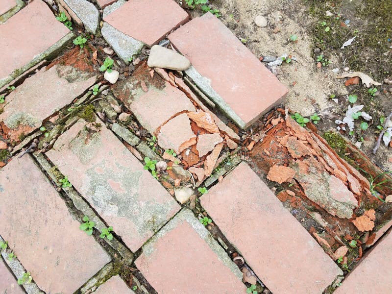 Weathered or Worn Red Bricks or Masonry on Ground Stock Image - Image ...
