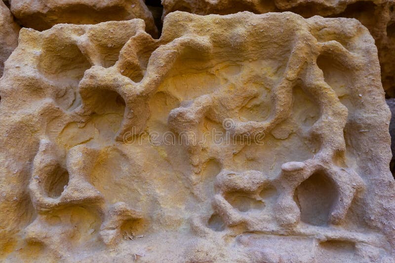 Weathering, Erosion and Destruction of Limestone Bricks of Ancient ...