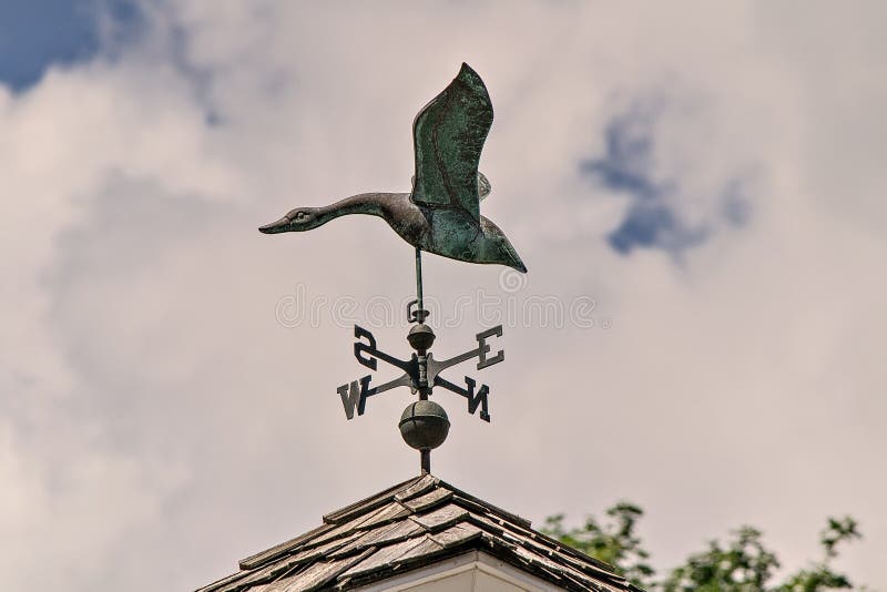 Weathervane stock photo. Image of compass, weathervane - 82012844