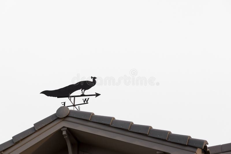 Weathervane Storm Stock Photos - Free & Royalty-Free Stock Photos from ...