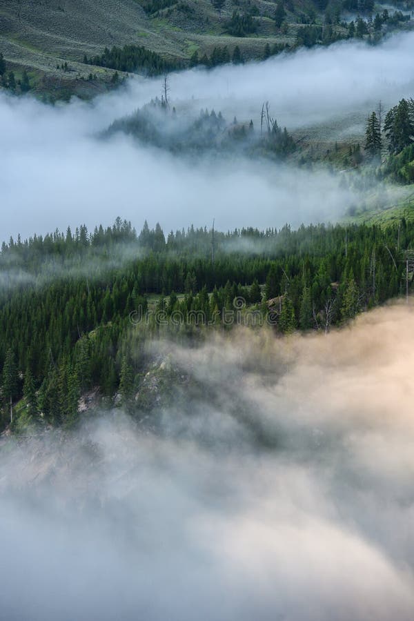 Weave of Clouds and Forest in Valley Stock Photo - Image of yellowstone ...