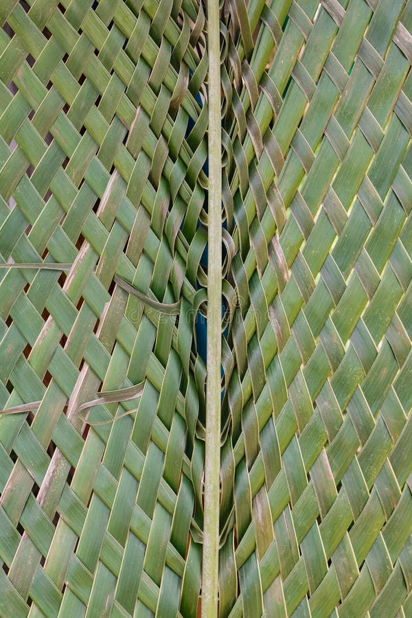 Weave Coconut Leaves are Decorative Mats Stock Image - Image of decor ...