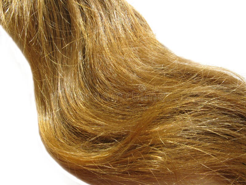 Weave of gingery hair stock photo. Image of thickness - 11072734