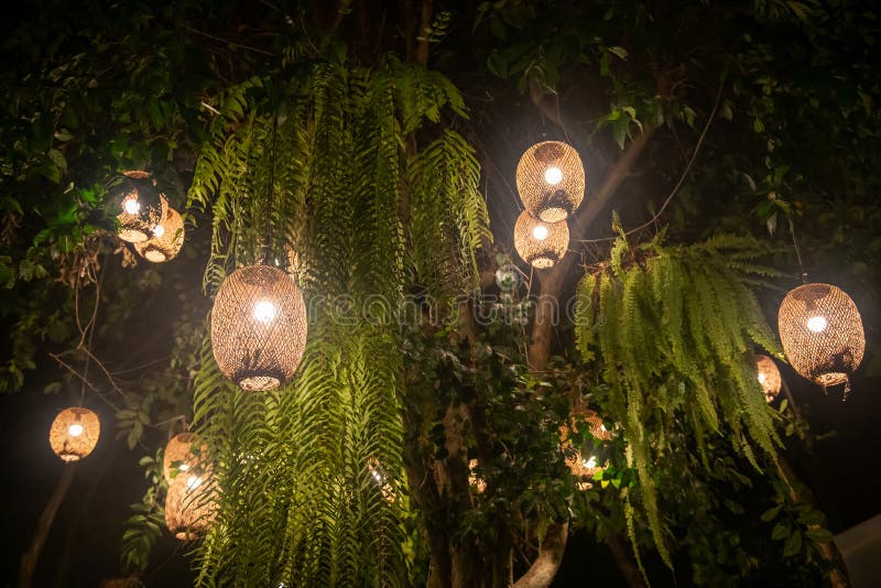 Weave Rattan Light Bulbs Hanging on Big Trees Stock Image - Image of ...