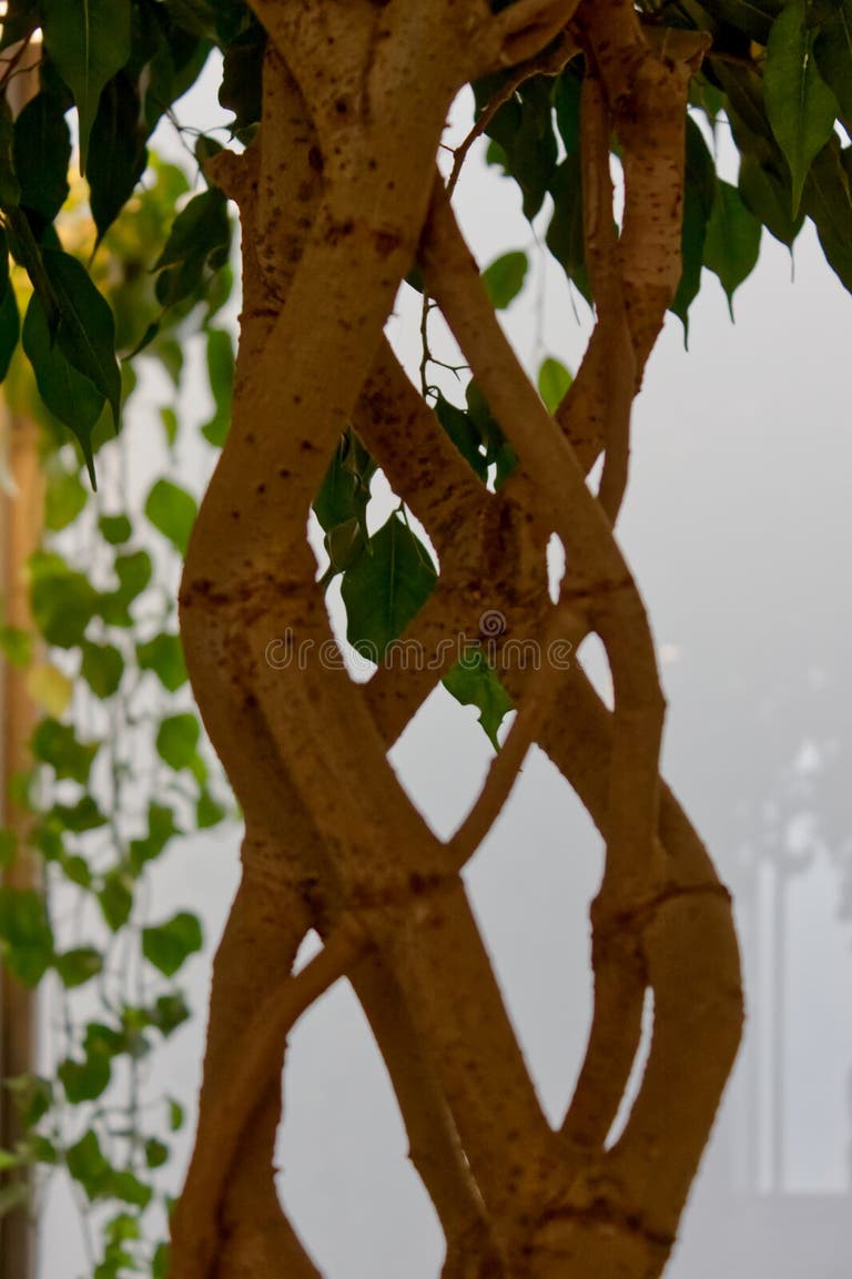 Tarzan Wallpaper Deviantart Stock Photos - Free & Royalty-Free Stock ...