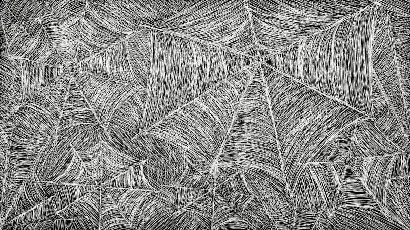 Weaving a Spider Web Over a Black Screen. Stock Video - Video of ...