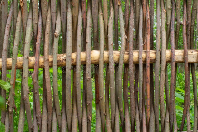 Weaving from Willow Branches. Fence from Tree Branches. Stock Photo ...
