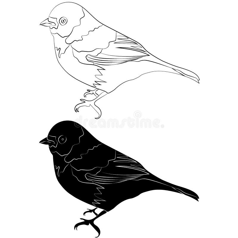 Paradise Tanager Bird Line Art Icon Stock Vector - Illustration of ...