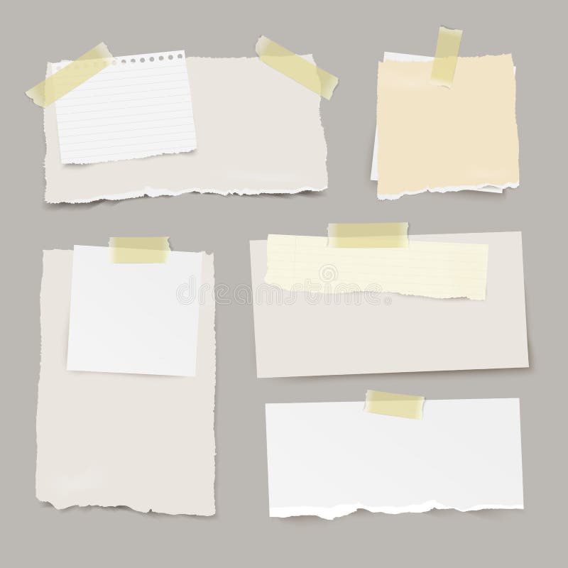 Vector Set of Pieces Ripped Note Papers with Different Size and Color ...