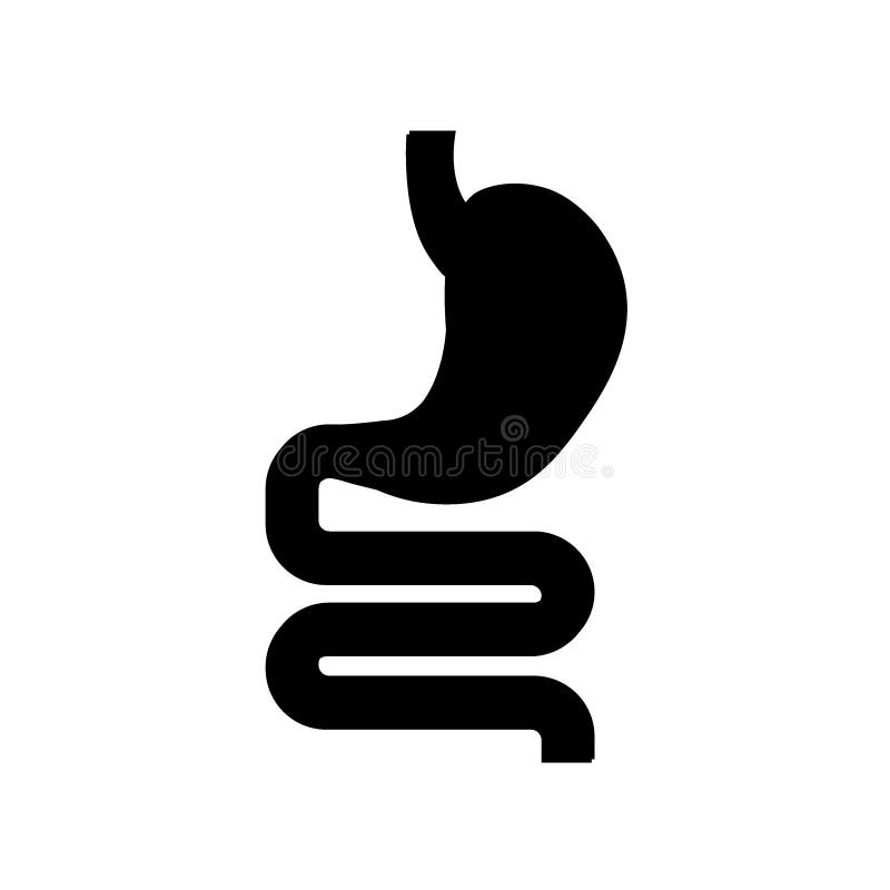 Large Intestine. Human Anatomy Stock Vector - Illustration of bolus ...