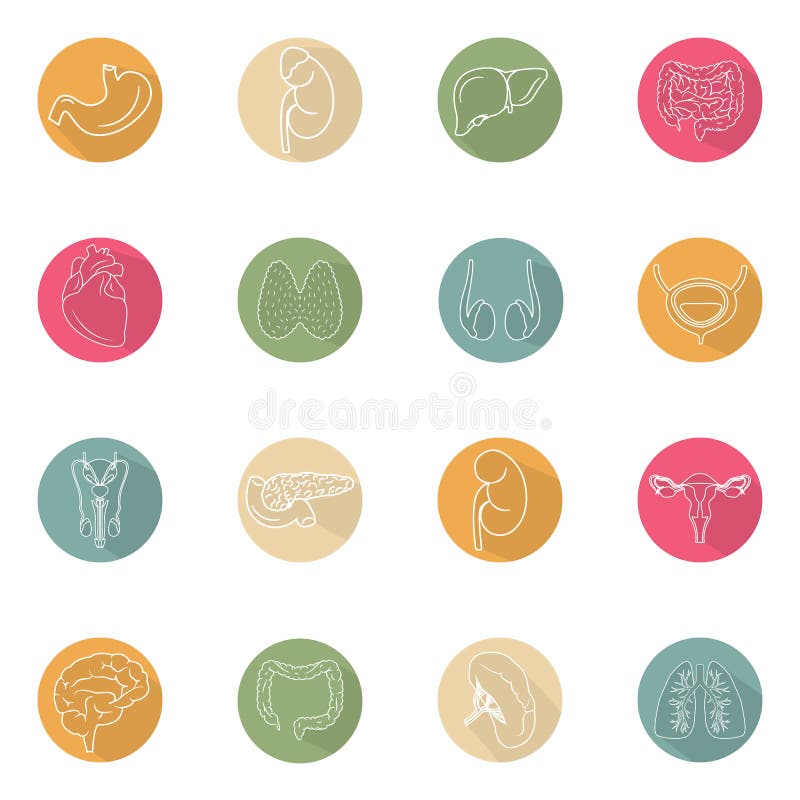 Modern Flat Icons Vector Set of Human Organs Stock Vector ...