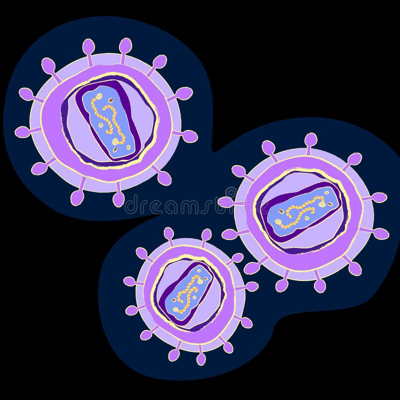 Immunodeficiency Vector Stock Illustrations – 976 Immunodeficiency ...