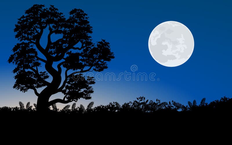 Beautiful Night Lonely Big Tree Stock Illustration - Illustration of ...