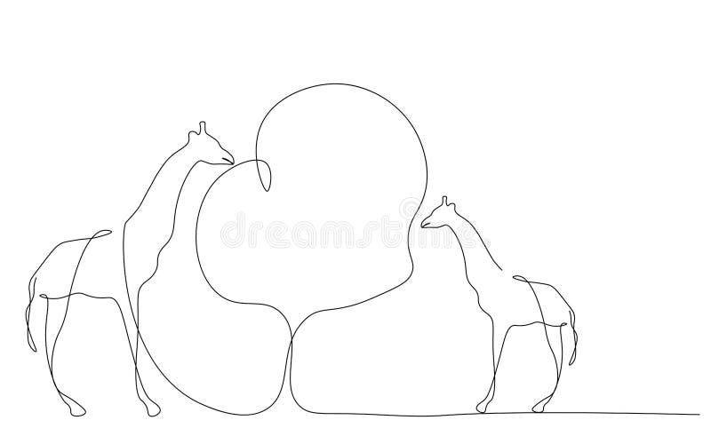 Giraffes Family Silhouette on White Background African Animal Line ...