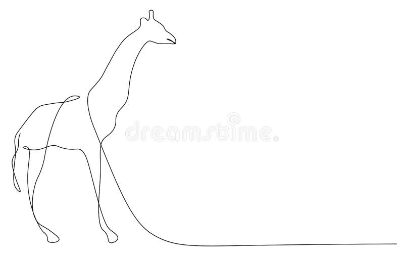 Giraffe on White Background African Animal Line Drawing Vector Stock ...